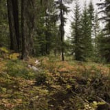 Timothy Lake Loop, Oregon - 270 Reviews, Map | AllTrails