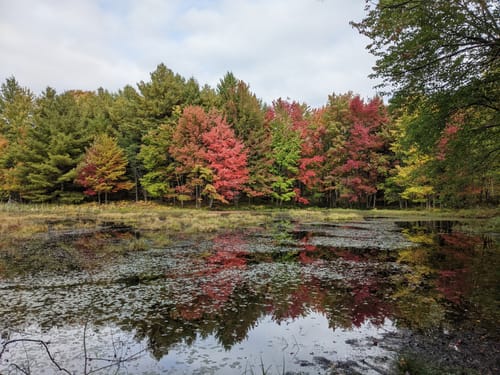 2023 Best 10 Trails, Walks, and Paths in Tay Valley | AllTrails