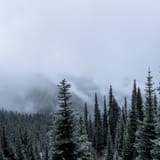 Hawkeye Point via Goat Ridge Trail #95, Washington - 313 Reviews, Map ...