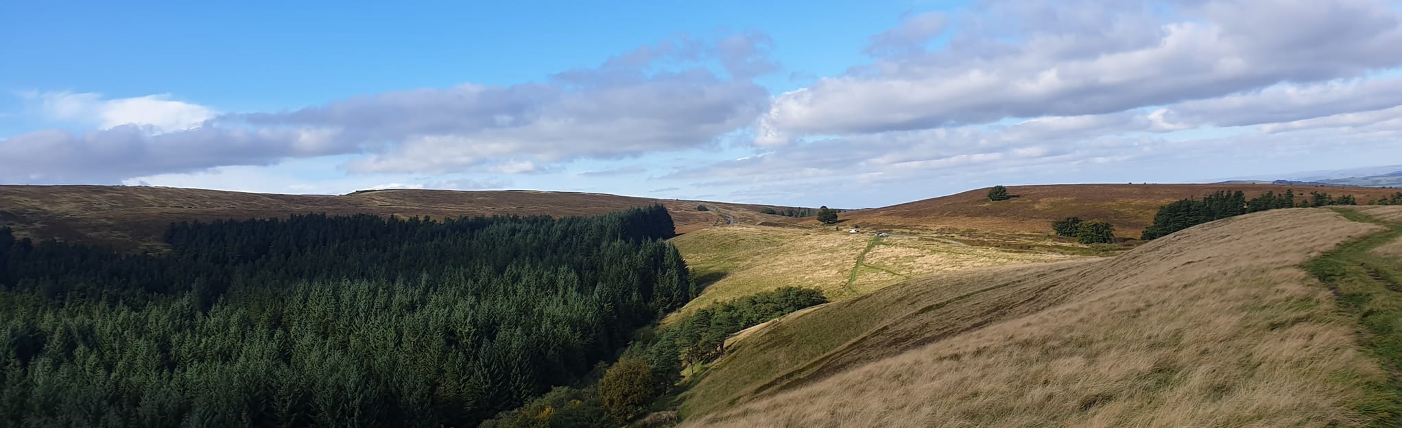 Shining Tor, Cats Tor, Errwood Hall Circular: 126 Reviews, Map ...