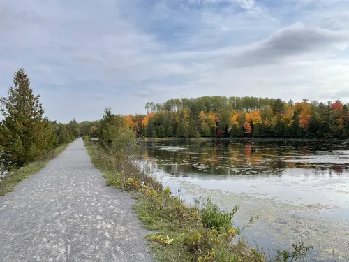 2023 Best Trails, Walks, and Paths in Fitzroy Harbour | AllTrails