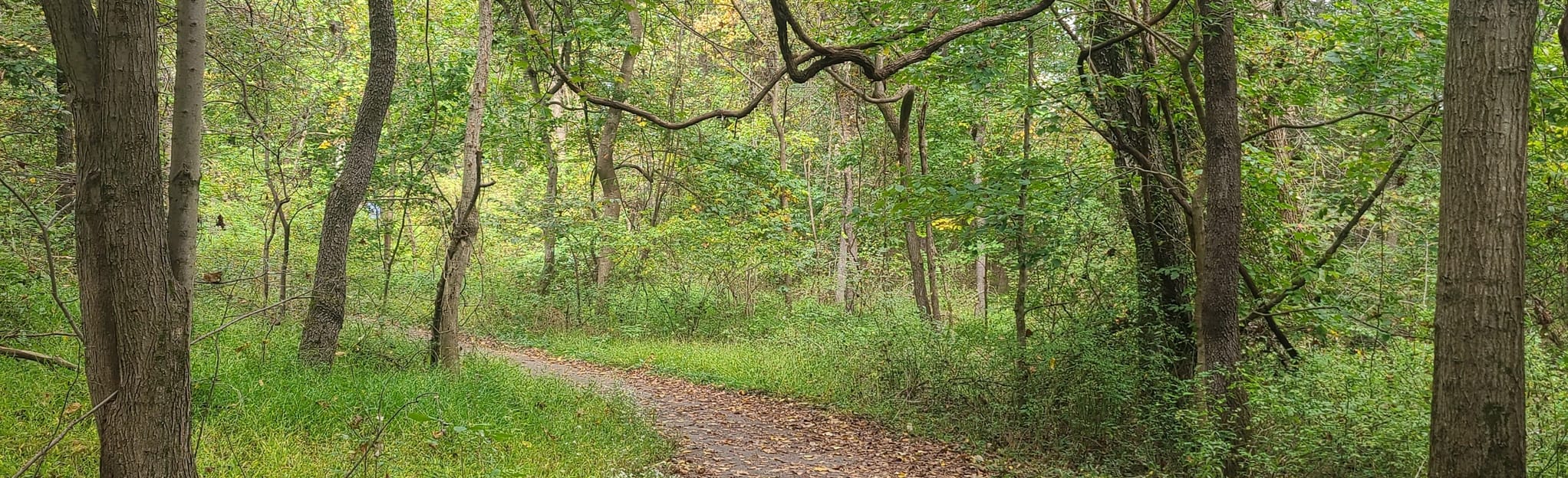 Cedar Run Trail: 21 Reviews, Map - Virginia | AllTrails