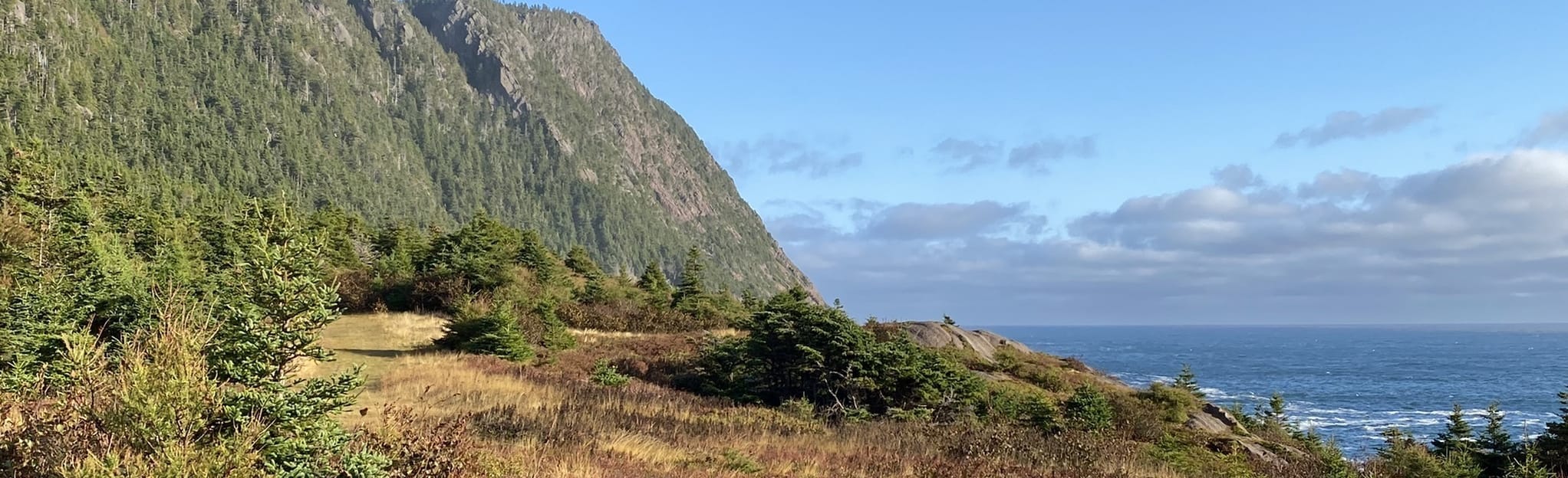 Logy Bay Coastal Trail: 20 Reviews, Map - Newfoundland and Labrador ...