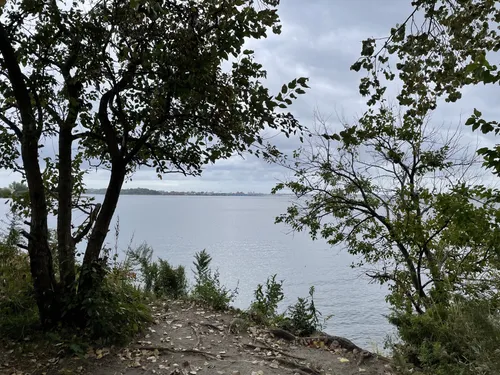 Best Hikes and Trails in Sound View Park | AllTrails