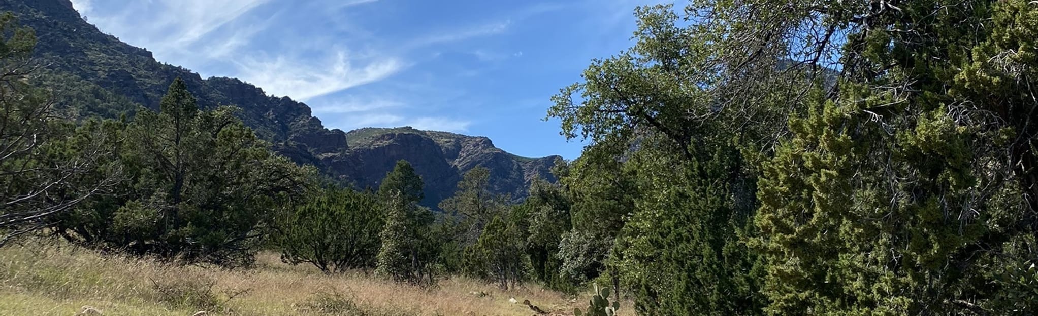 Barnhardt Trail Waterfall: 667 Reviews, Map - Arizona | AllTrails