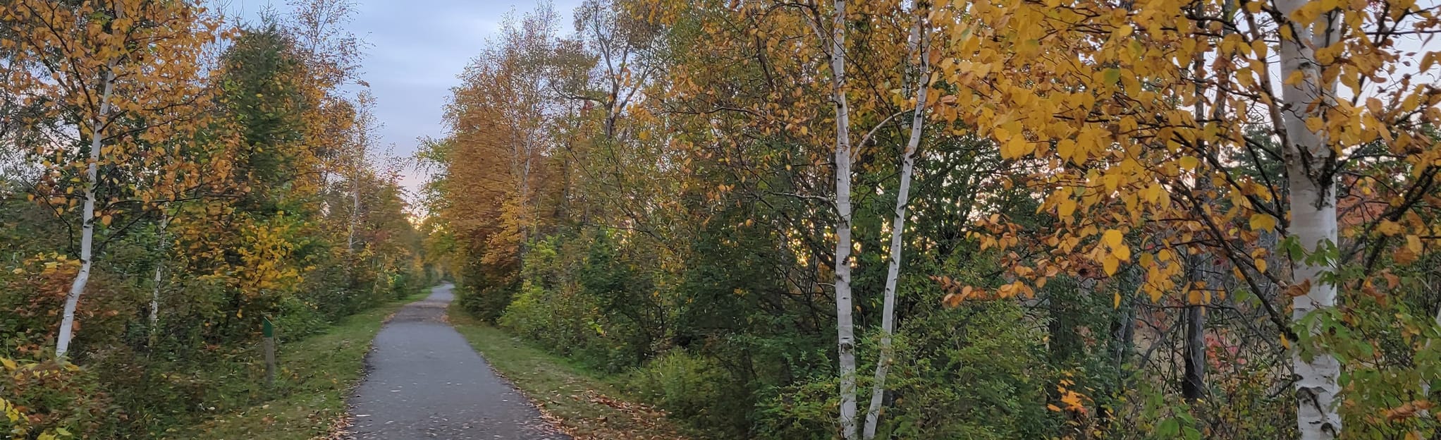 Red-Wing and Cedar Trail: 76 foto's - Ontario, Canada | AllTrails