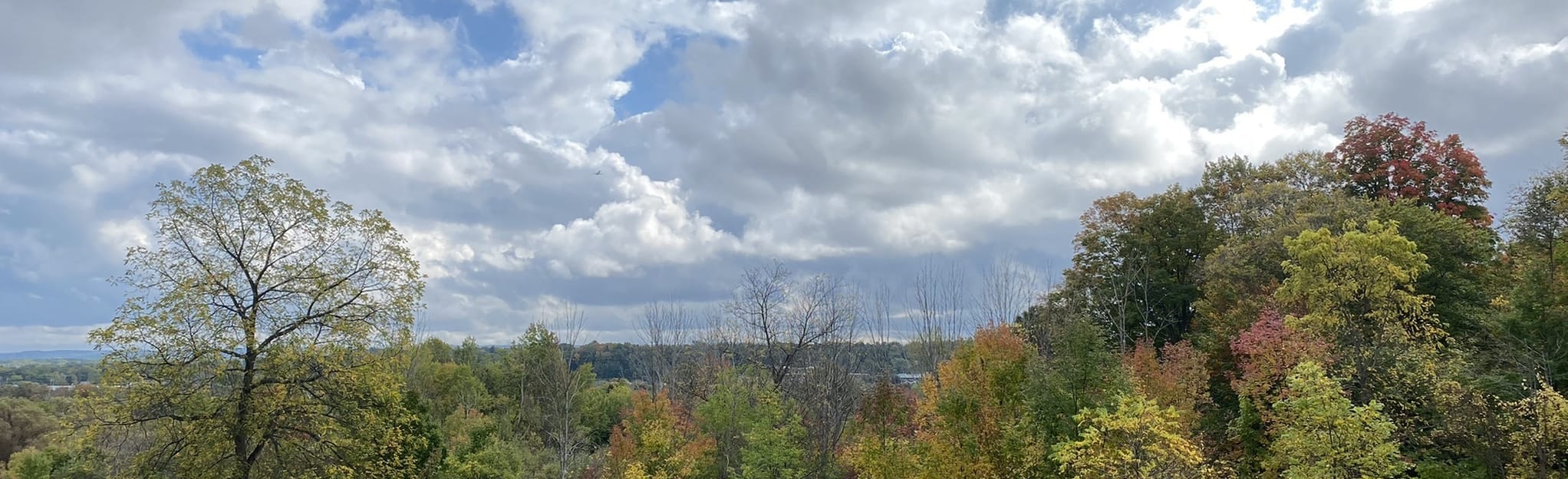 Meadow Loop and Copper Ridge Trail | Map, Guide - Michigan | AllTrails