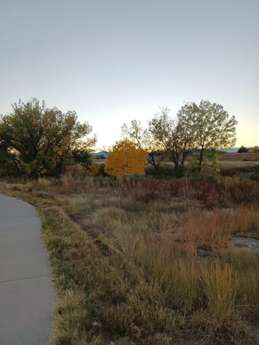 2023 Best Forest Trails in Denver | AllTrails