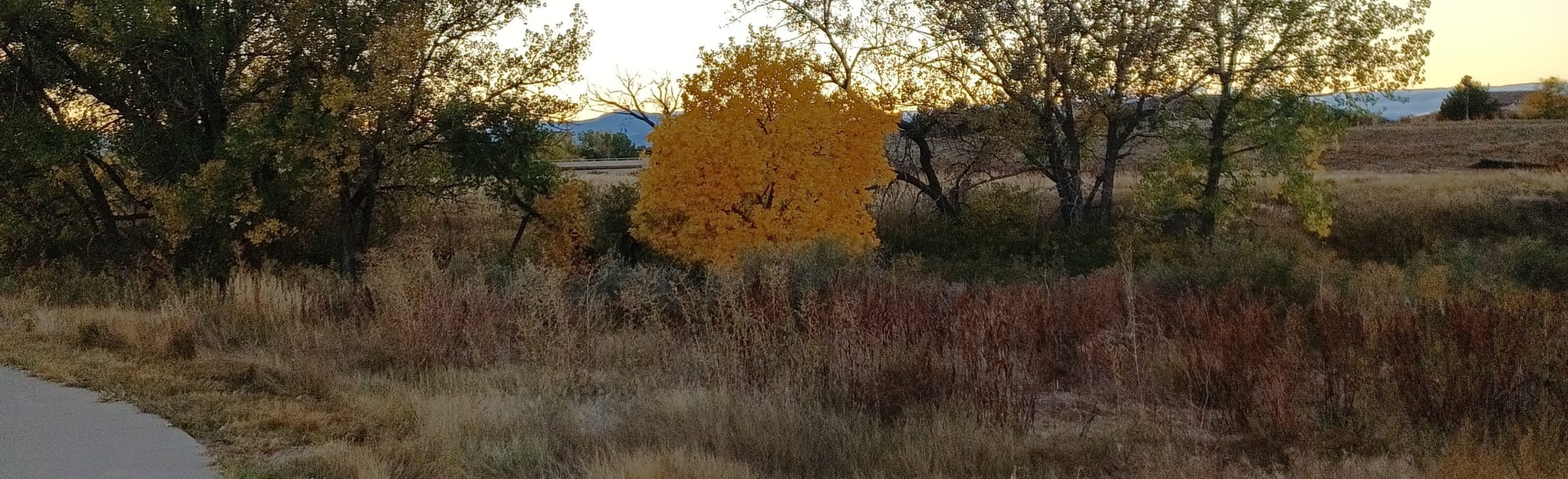 Valley View, Legacy Ridge, Cotton Creek Parks Loop Loop, Colorado - 30 ...