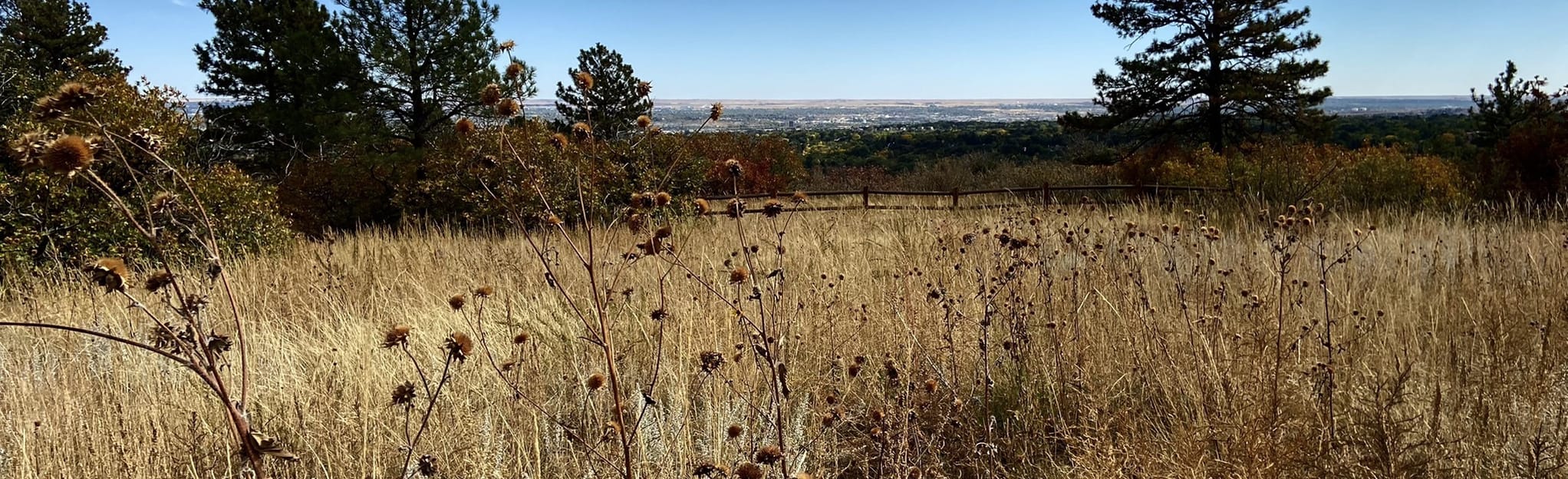 Stratton Open Space Ponderosa and Ridge Loop, Colorado - 411 Reviews ...