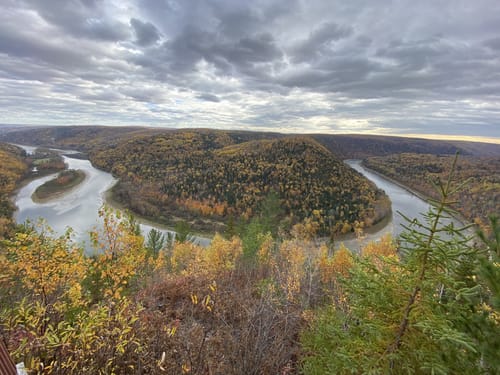 2023 Best Wild Flowers Trails in Saint-Alexis-de-Matapedia | AllTrails