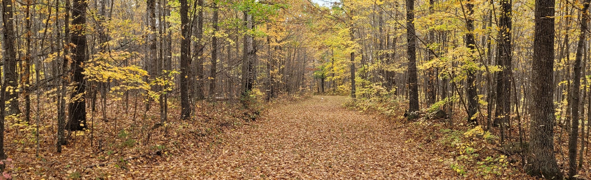Birkebeiner Trail, Wisconsin - 30 Reviews, Map | AllTrails