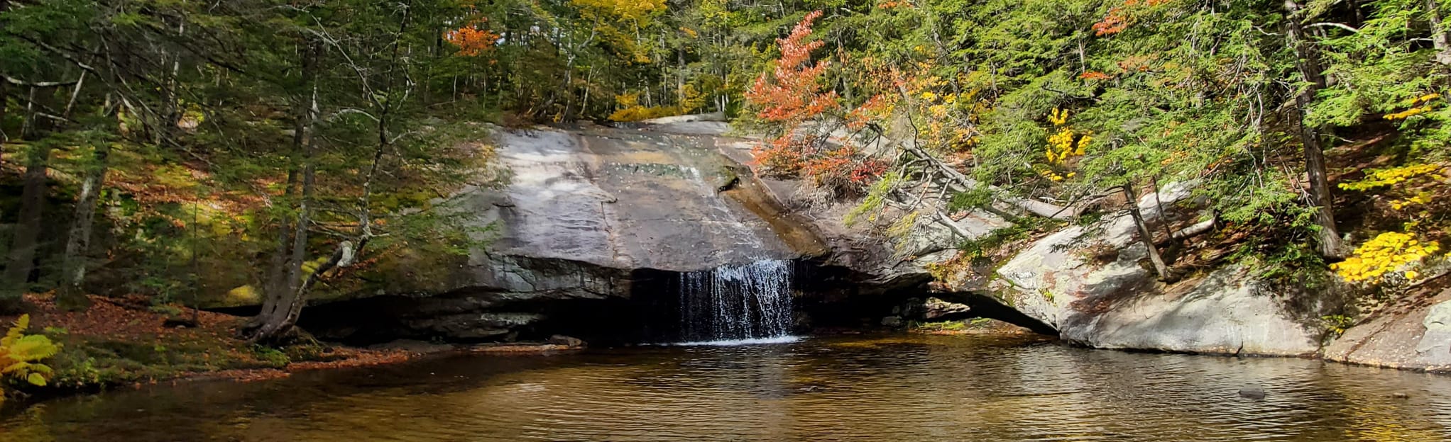Beede Falls Winter Access Trail, New Hampshire - 51 Reviews, Map | AllTrails