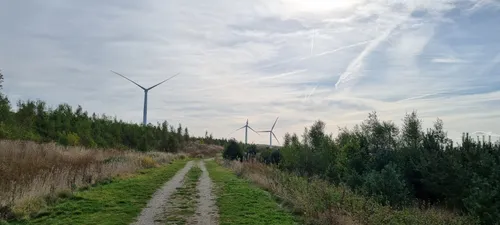 Best Hikes and Trails in Grimethorpe Nature Reserve | AllTrails