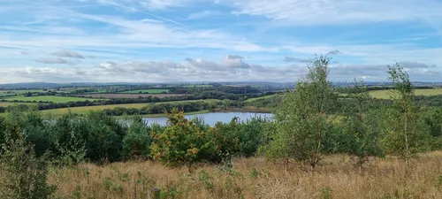 Best Hikes and Trails in Grimethorpe Nature Reserve | AllTrails