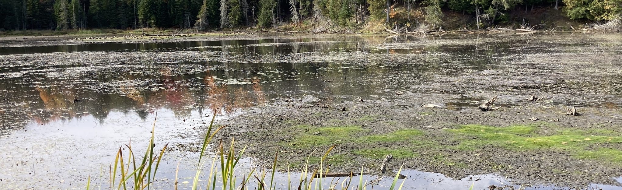 Tomifobia River Knight Rail Trail: 20 Reviews, Map - Quebec, Canada ...