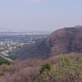 Wonderboom Hiking Trail, Gauteng, South Africa - 129 Reviews, Map ...