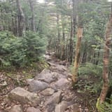 Franconia Brook Trail, New Hampshire - 252 Reviews, Map | AllTrails