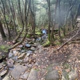 Franconia Brook Trail, New Hampshire - 252 Reviews, Map | AllTrails