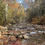 Franconia Brook Trail, New Hampshire - 323 Reviews, Map | AllTrails