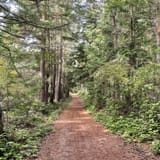 Kettles Trail , Washington - 200 Reviews, Map | AllTrails