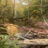 Franconia Brook Trail, New Hampshire - 258 Reviews, Map | AllTrails