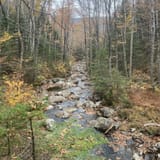 Franconia Brook Trail, New Hampshire - 258 Reviews, Map | AllTrails