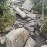 Franconia Brook Trail, New Hampshire - 258 Reviews, Map | AllTrails