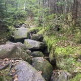 Franconia Brook Trail, New Hampshire - 252 Reviews, Map | AllTrails