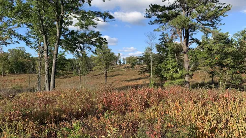 Best 10 Hikes and Trails in Albany Pine Bush Preserve | AllTrails
