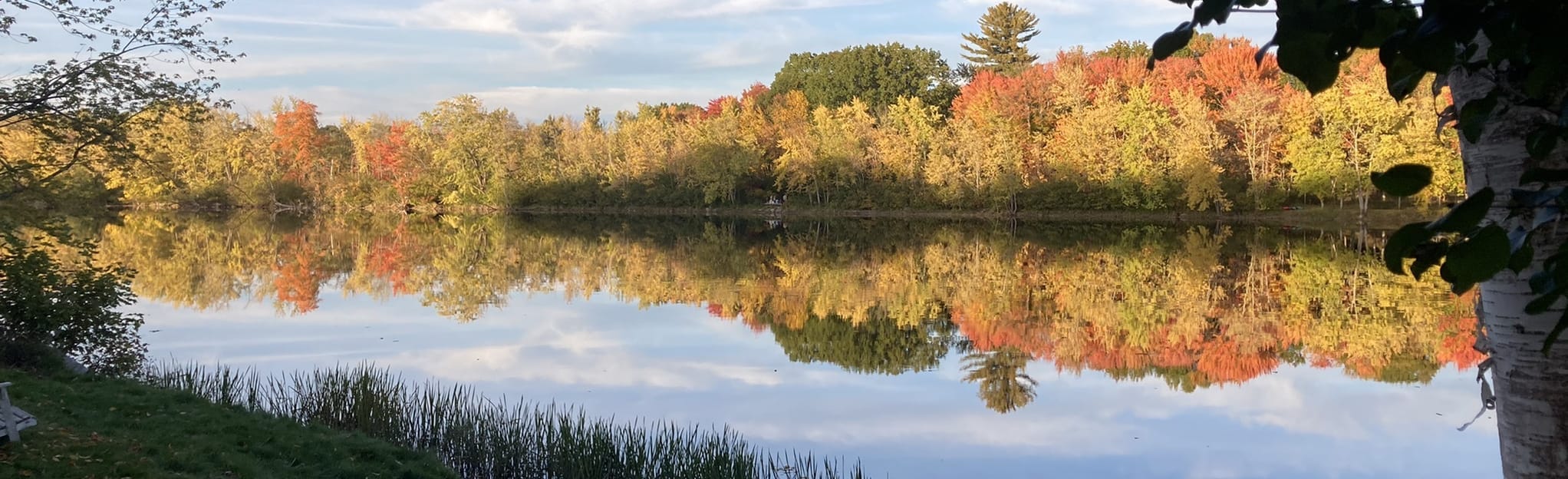 Stillwater River Trail, Maine - 215 Reviews, Map | AllTrails