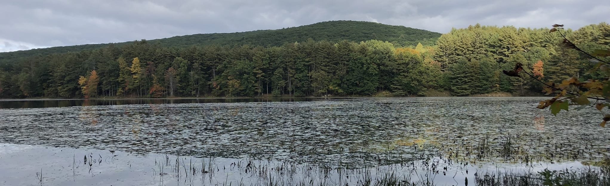 Cranberry Pond and Roaring Mountain Loop | Map, Guide - Massachusetts ...