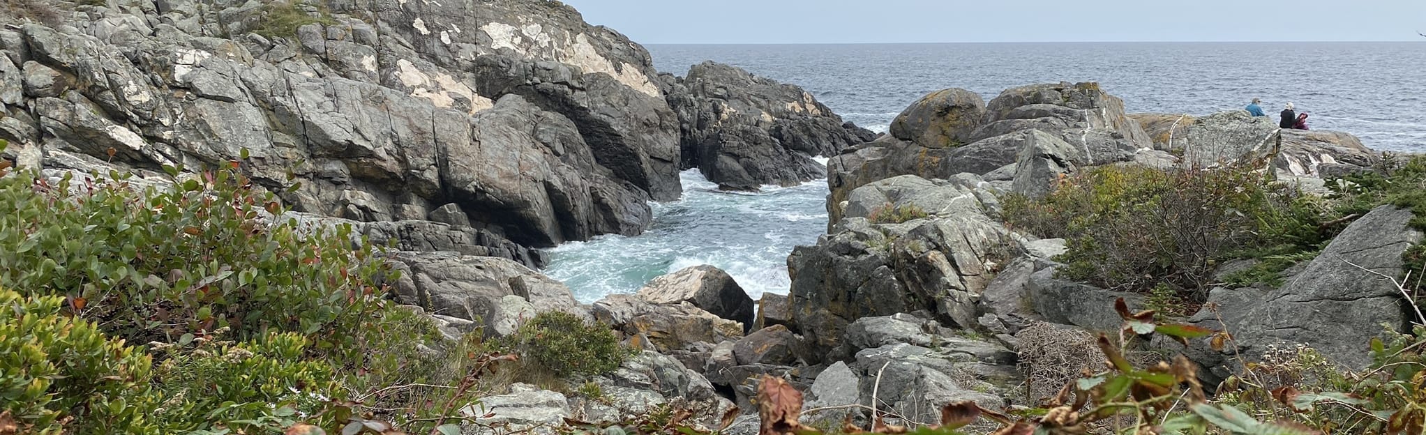 Squeaker Cove via Cathedral Woods Trail, Maine - 10 Reviews, Map ...