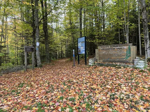 10 Best Hikes and Trails in Escanaba River State Forest | AllTrails