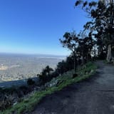 Scar Track to 1000 Steps, Victoria, Australia - 56 Reviews, Map | AllTrails