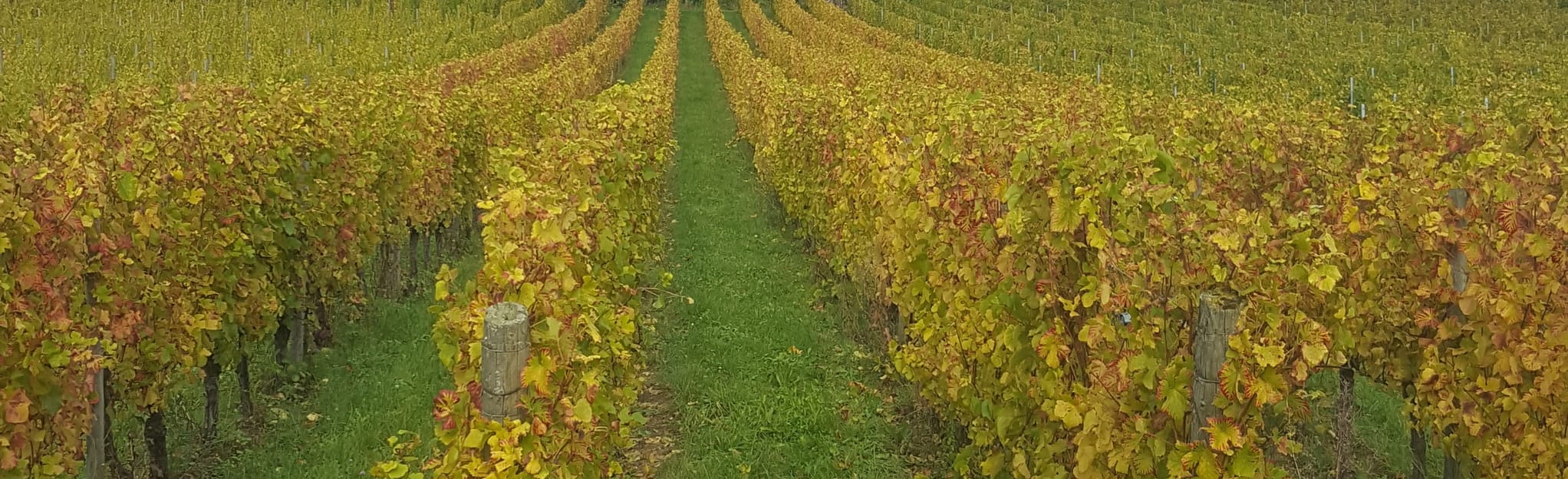 Forts of Lucey and Trondes, Meurthe-et-Moselle, France - Map, Guide ...