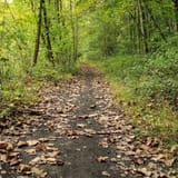 Birdsboro Waters Loop, Pennsylvania - 305 Reviews, Map | AllTrails