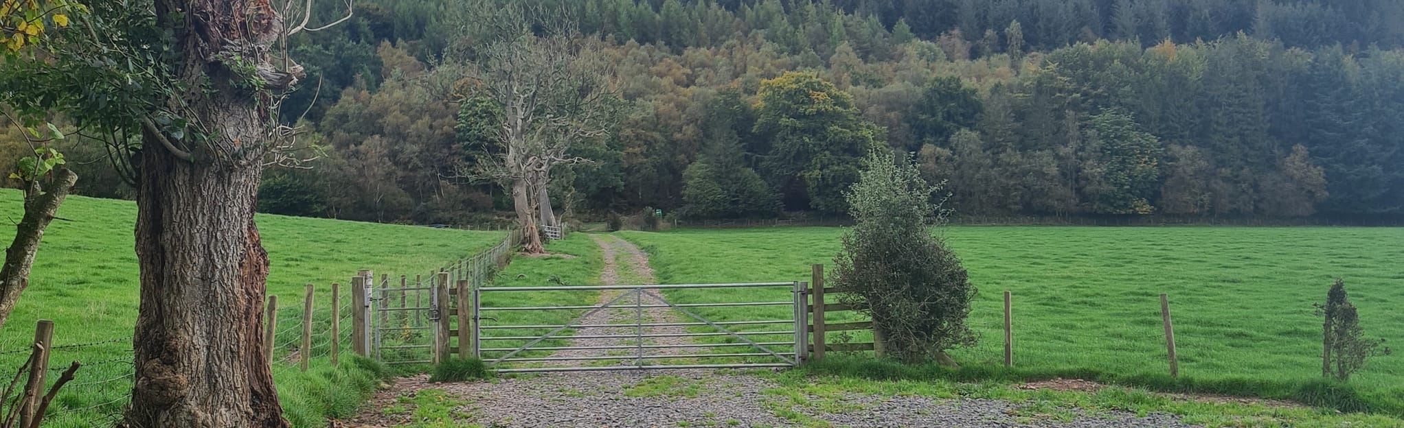 Ecclefechan Circular: 23 Reviews, Map - Dumfries and Galloway, Scotland ...