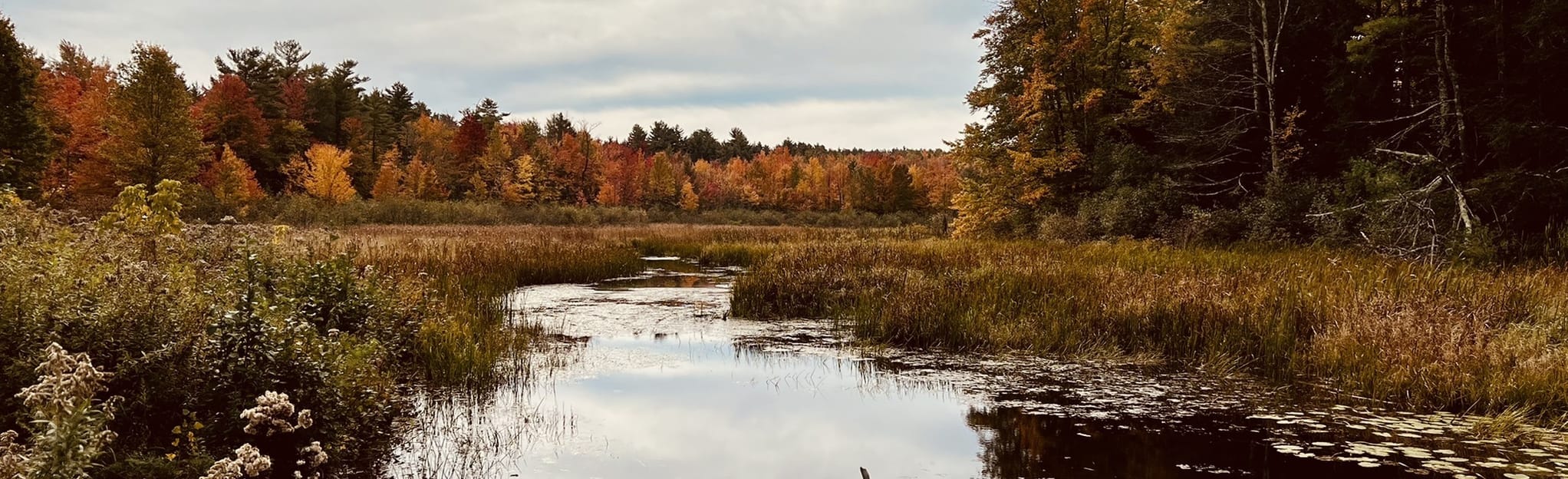AllTrails | Mud Pond Conservation Area Trail: 180 Reviews, Map - Vermont