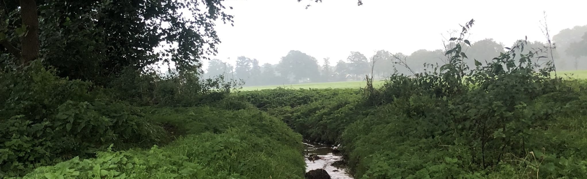 Reutum Oranje Wandelroute, Overijssel, Netherlands - Map, Guide | AllTrails