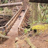 Marble River Trail , British Columbia, Canada - 141 Reviews, Map ...