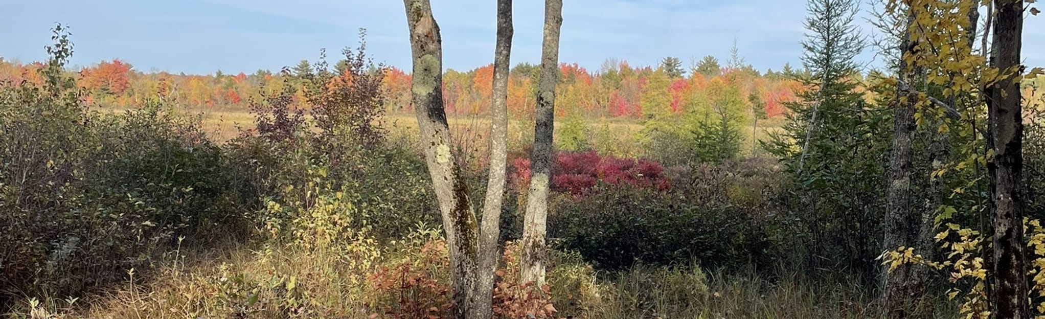 Rines Wetlands and Wildlife Preserve Trail, Maine - 14 Reviews, Map ...