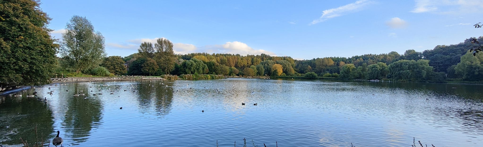Moses Gate Country Park Circular - Greater Manchester, England | AllTrails