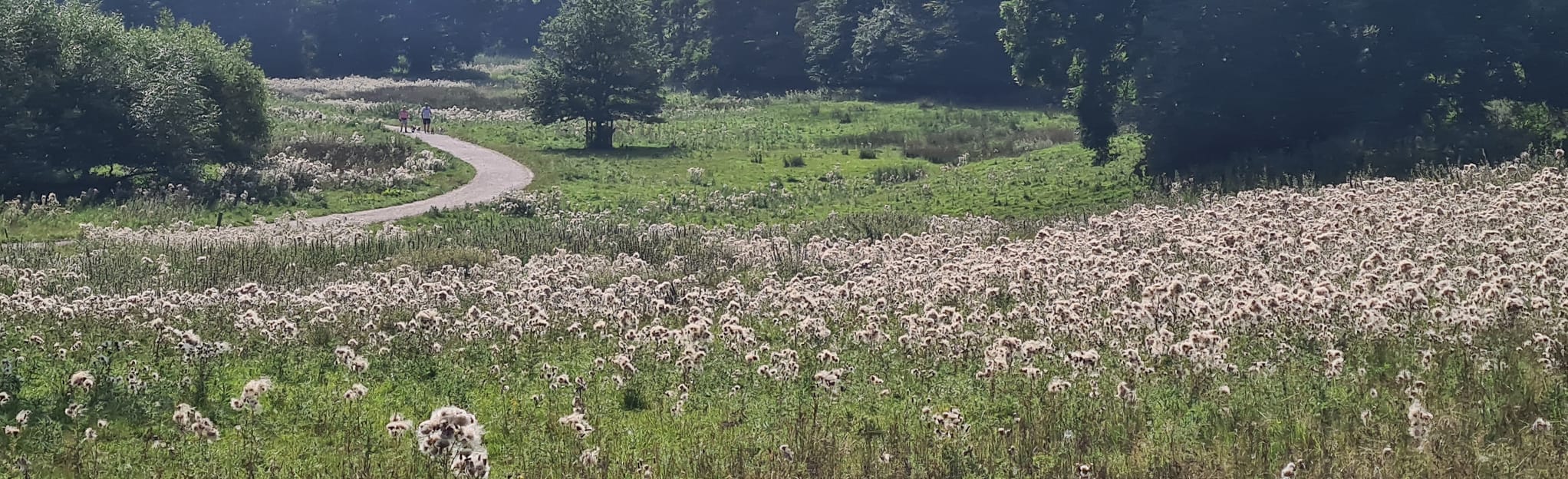 Erddig Park Circular: 106 Reviews, Map - Wrexham, Wales | AllTrails