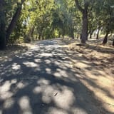 American River Bike Trail (Jedediah Smith Memorial Trail), California ...