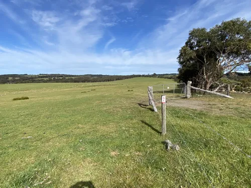 2023 Best Trails, Walks, and Paths in Back Valley | AllTrails