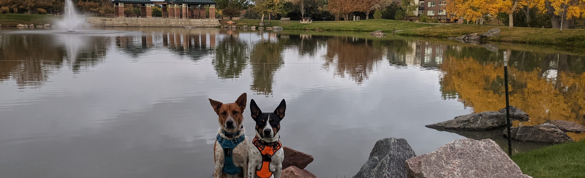 John Derry Loop | Map, Guide - Colorado | AllTrails