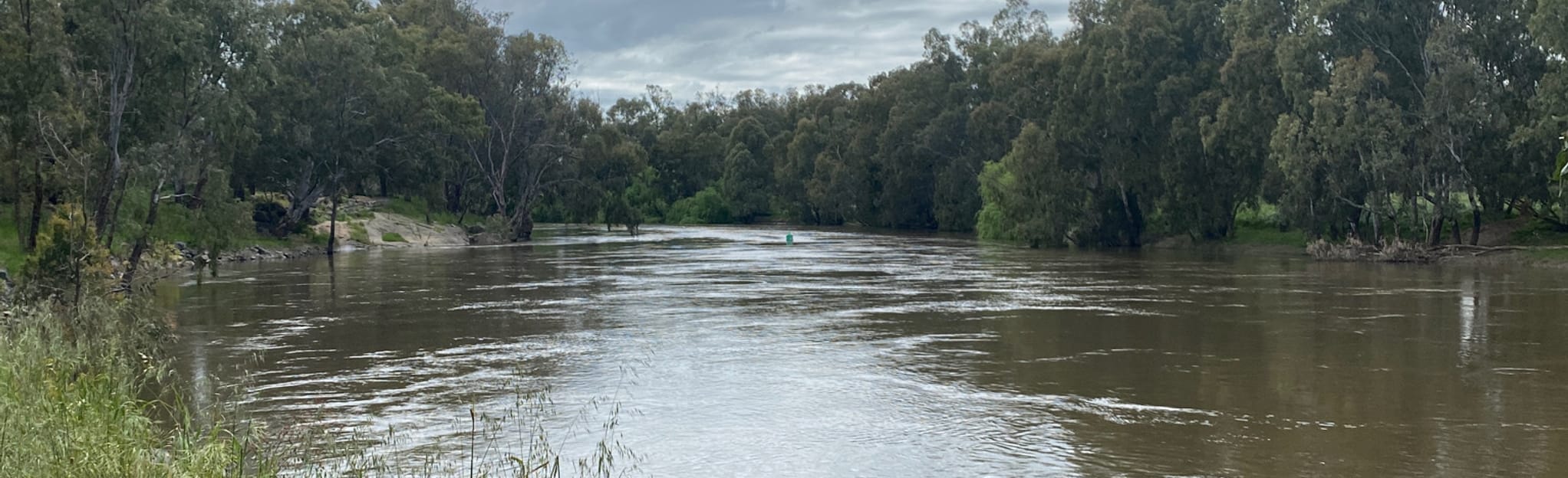 Wiradjuri Walking Track Loop - New South Wales, Australia | AllTrails