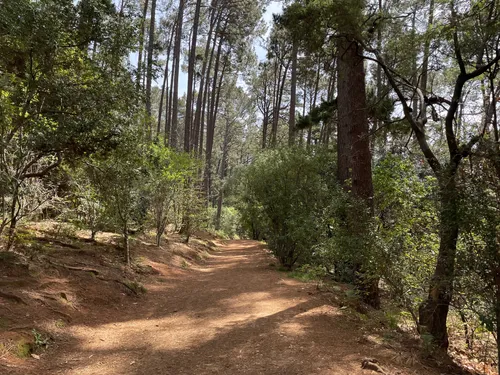 10 Best Kid Friendly Trails in Cape Town | AllTrails