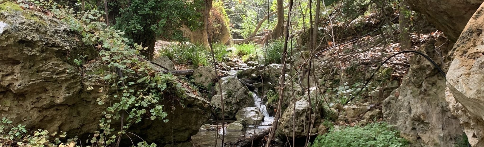 Mili Gorge: 384 foto's - Kreta, Griekenland | Wandelen - AllTrails